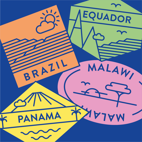 Modern Standard Coffee | Speciality Coffee Roasters Fife