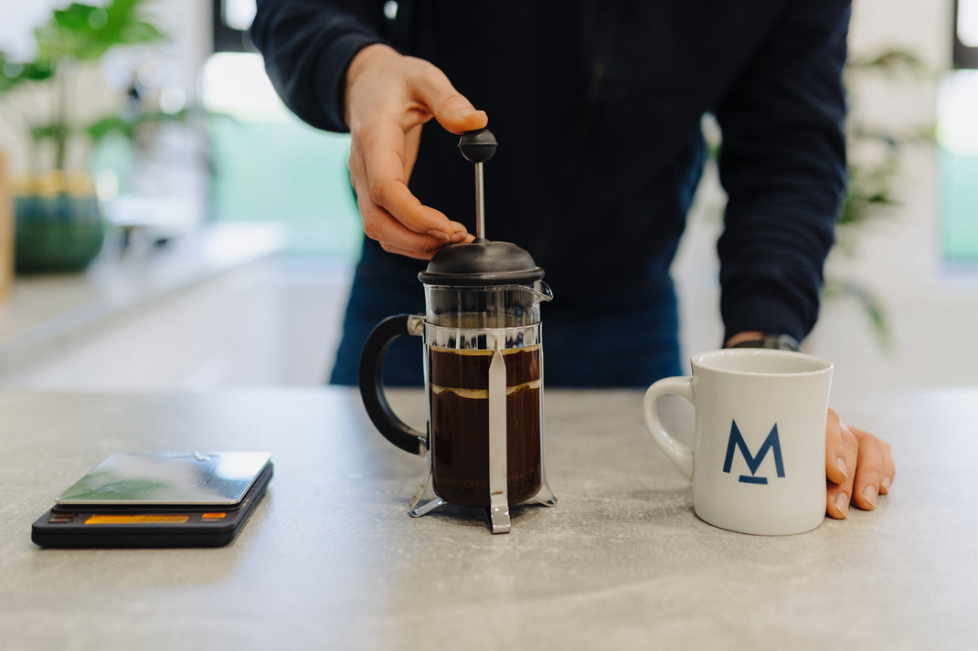 Cafetière Brew Guide | How to brew the best cafetière coffee – Modern ...